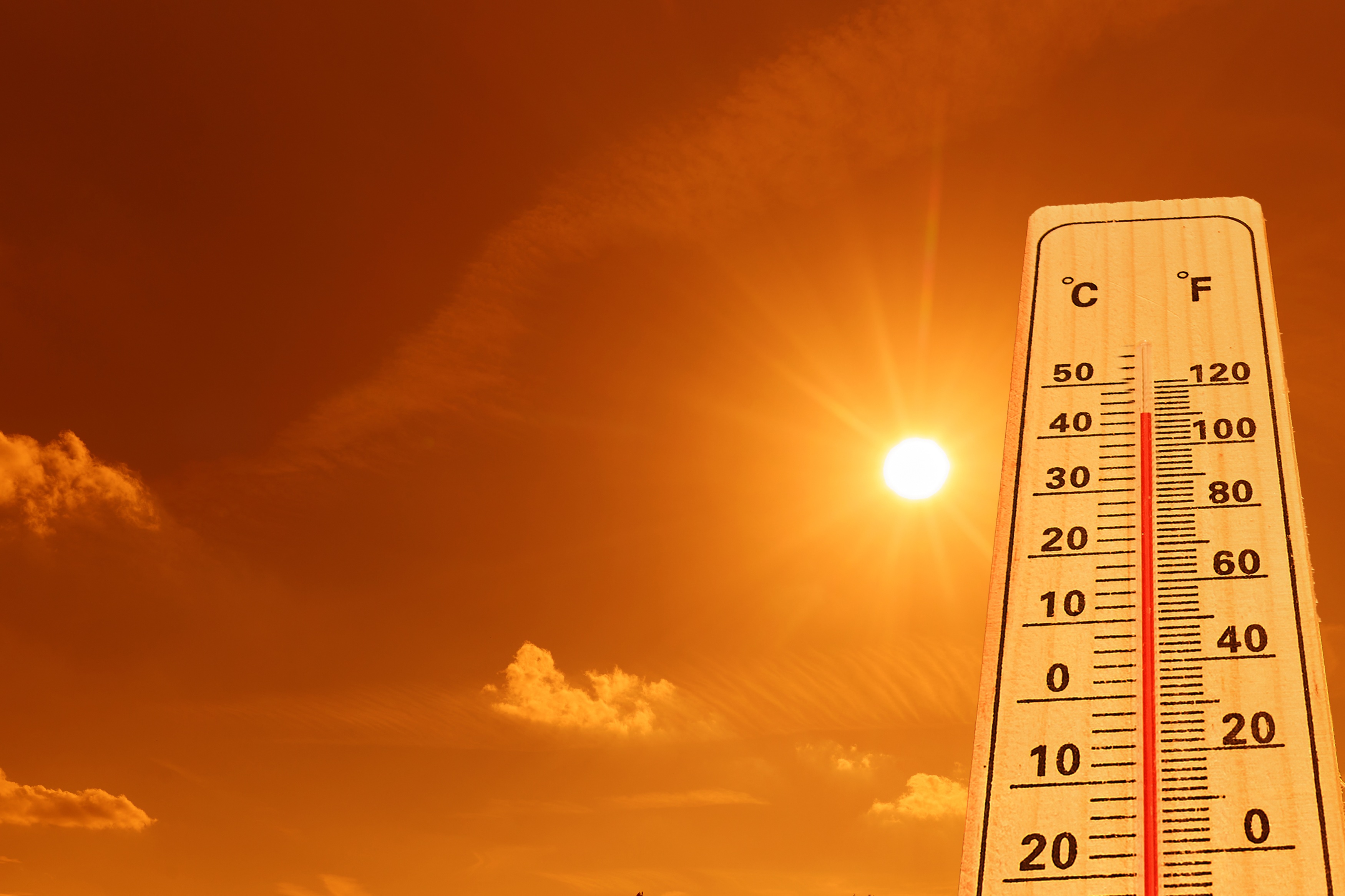 Le jour où il a fait 46 °C en France